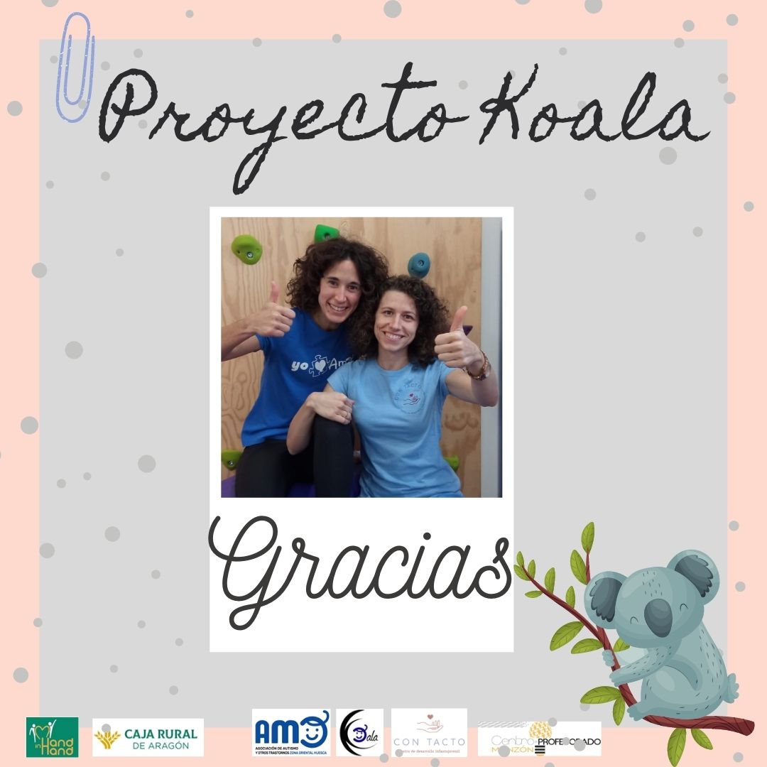 MÁS DE 100 INSCRITOS EN EL PROYECTO KOALA – HACHEWEAR